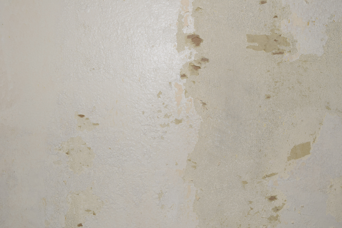 Wall w/bad primer and wallpaper paste | DIY Home Improvement Forum
